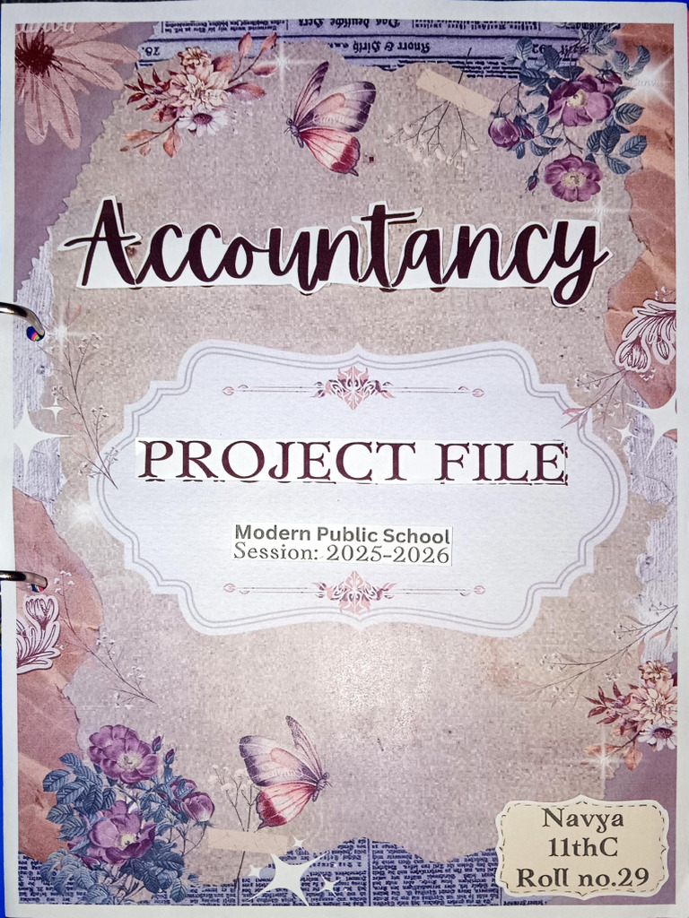 Accountancy Project Class 11 Navya | PDF