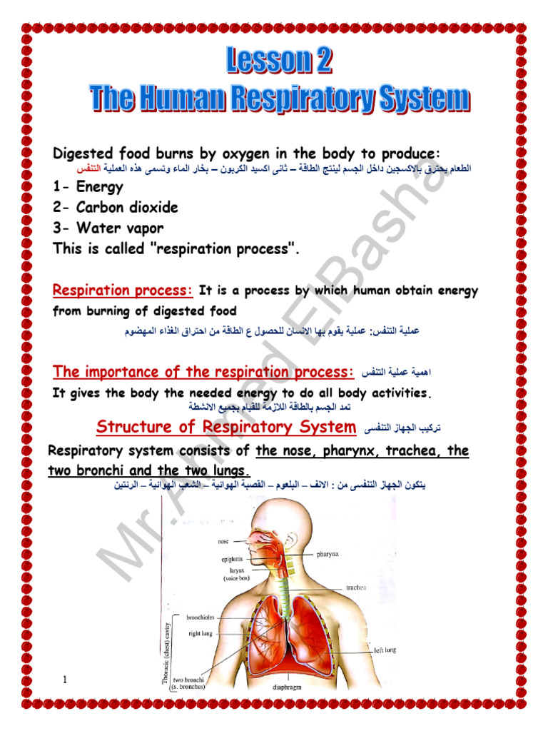 Grade 4 Lesson 2 Second Term 2019 | PDF