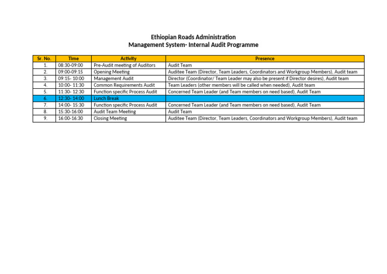 Internal Audit Schedule Overview | PDF