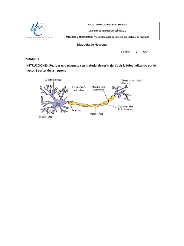 Maqueta de Neurona | PDF