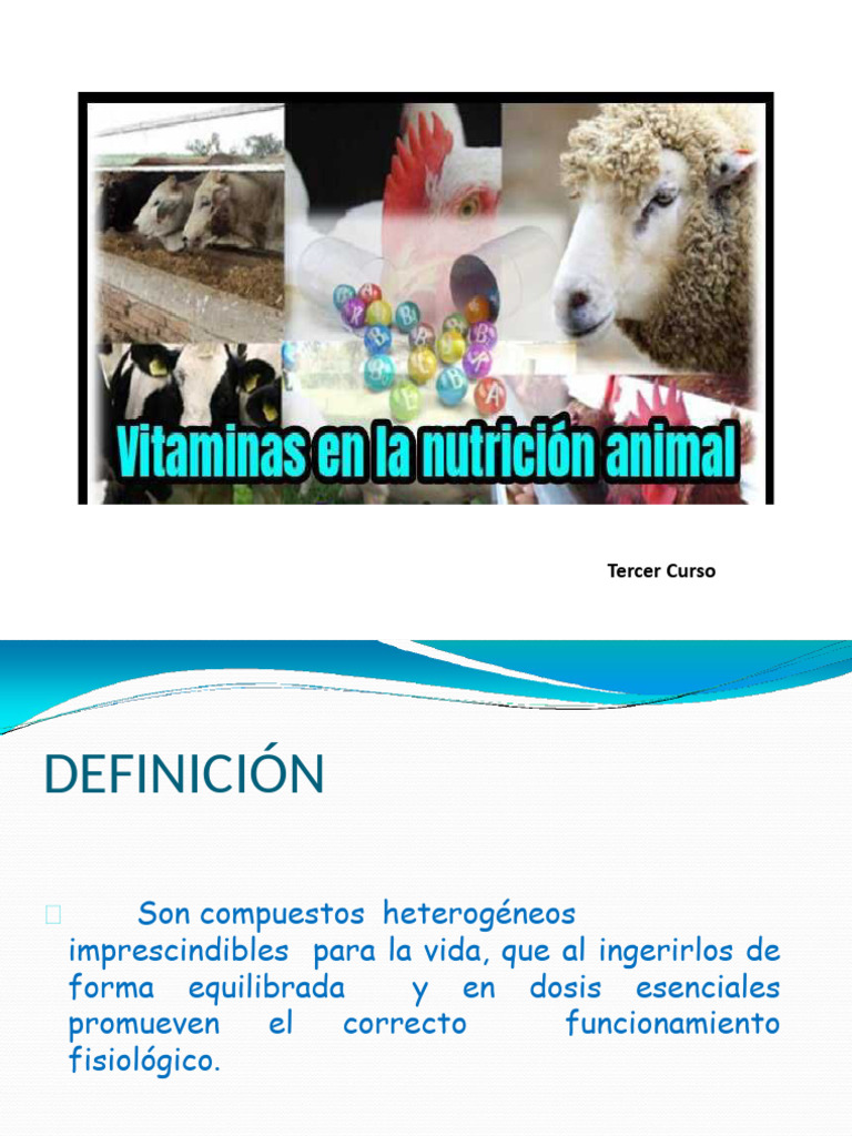 Clasificación y Funciones de Vitaminas | PDF | Vitamina | Vitamina a