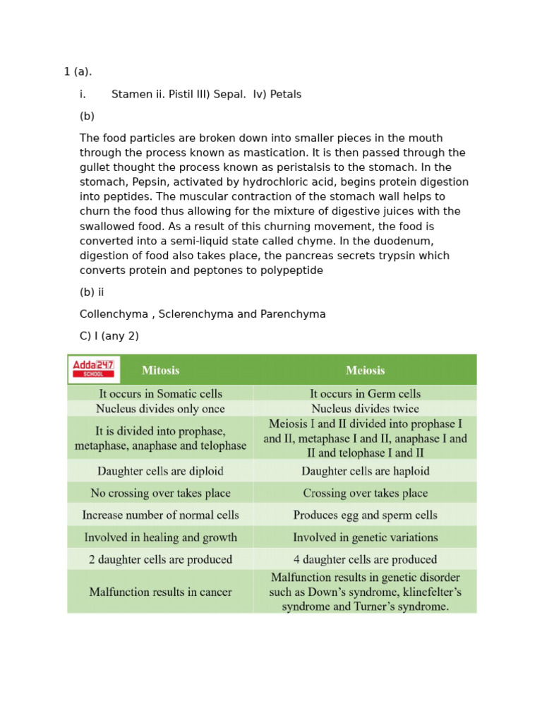 Biology Answers | PDF | Digestion | Enzyme