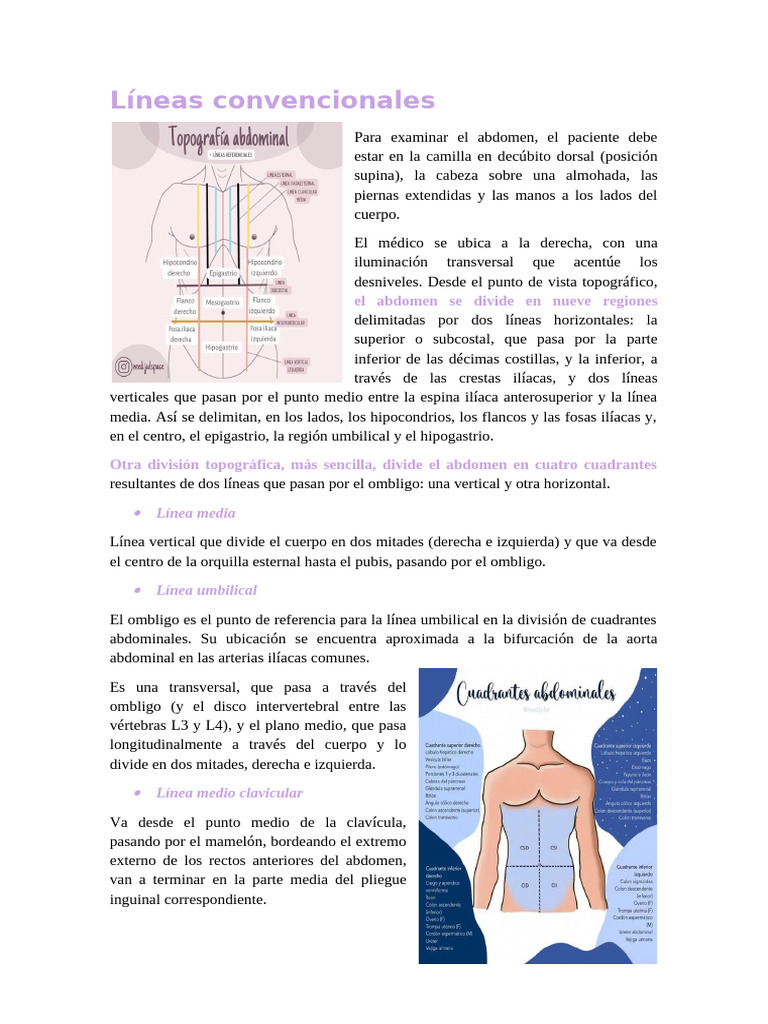Líneas y Regiones del Abdomen | PDF | Abdomen | Términos anatómicos de ...
