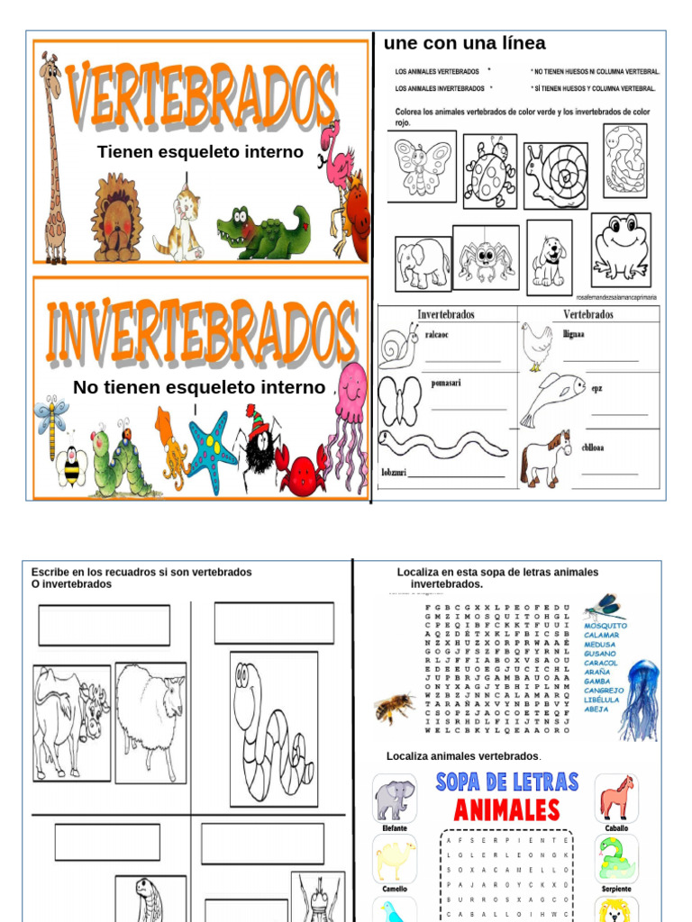 Animales Vertebrados e Invertebrados | PDF