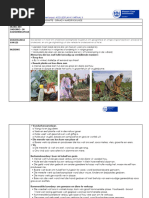 3 Voedselkettings en Voedselwebbe | PDF