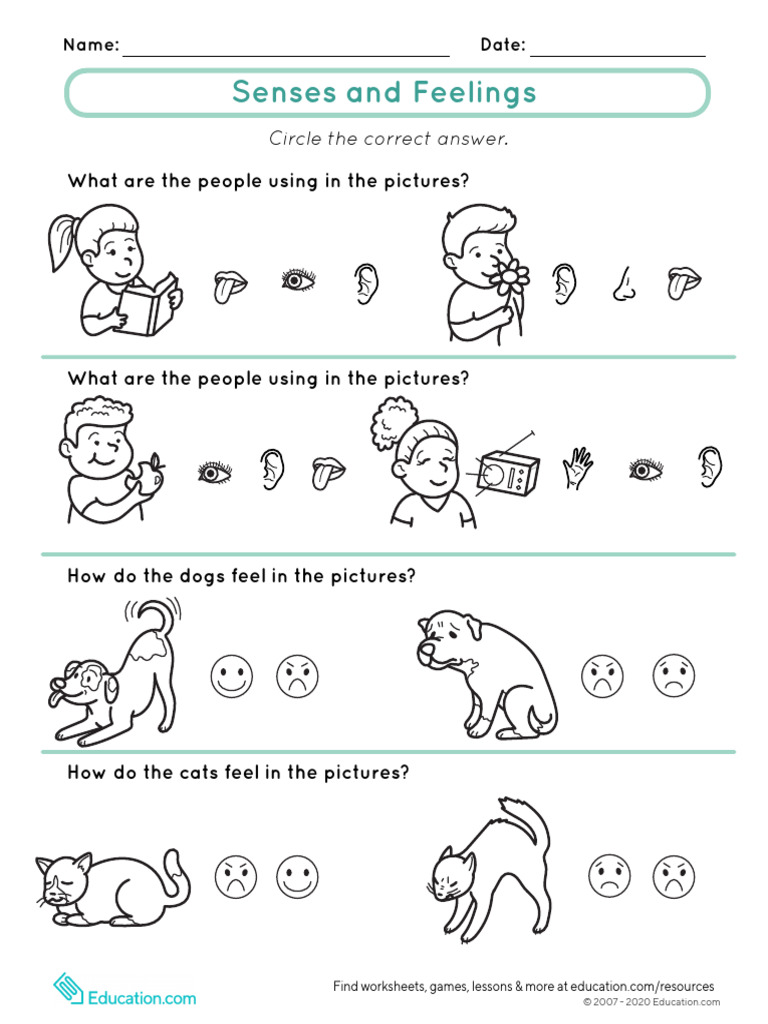 Senses Feelings | PDF