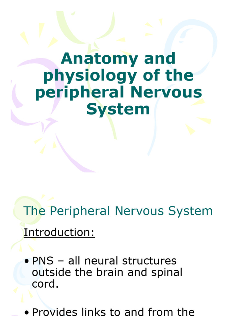 Anatomy and Physiology of PNS (Compatibility Mode) | PDF | Human ...
