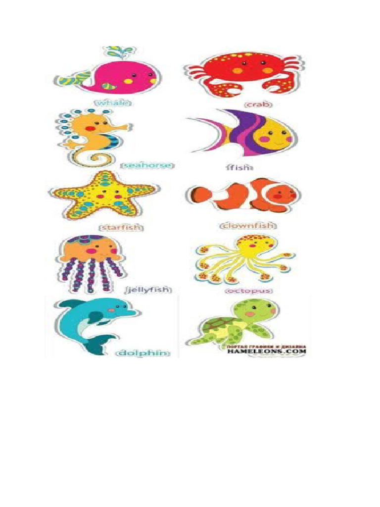 Isi Laut | PDF