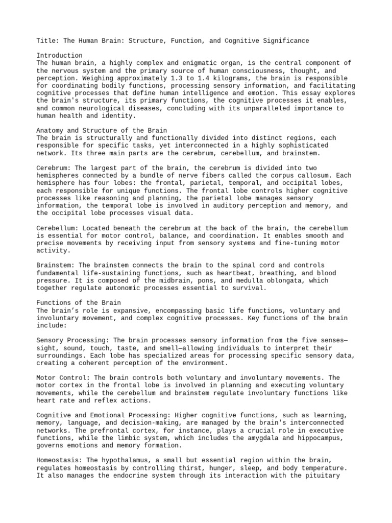 An Academic Essay About The Brain, A Complex and Enigmatic Organ Which ...