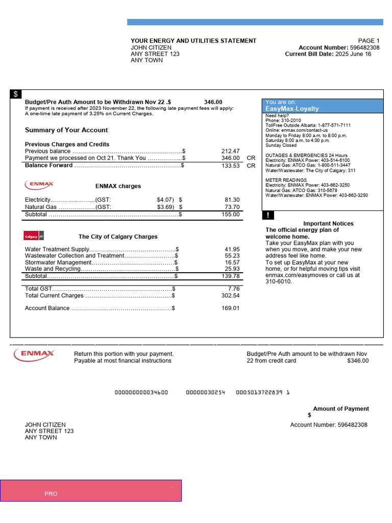 Canada ENMAX utility bill Word and PDF template (1) | PDF