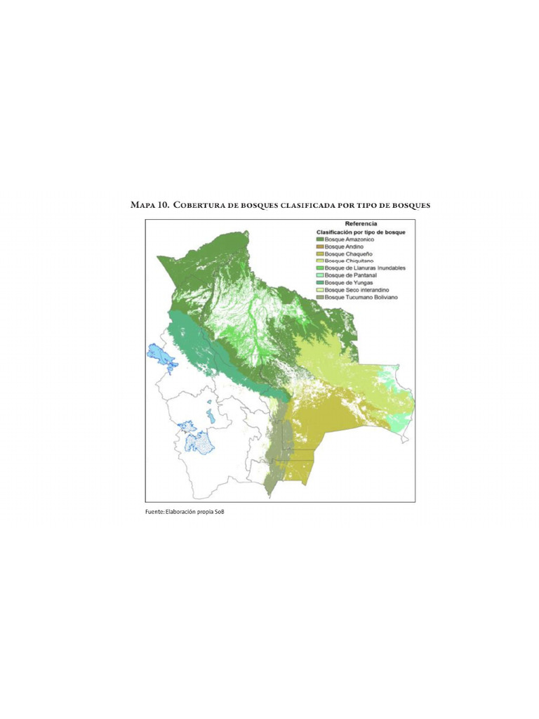 Mapa Coberturade Bosques Clasificada Por Tipo de Bosques | PDF