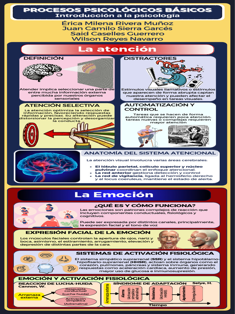 Infografía Procesos Psicológicos Básicos | PDF | Percepción | Las emociones