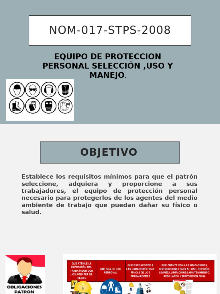 Nom 017 STPS 2008 | PDF