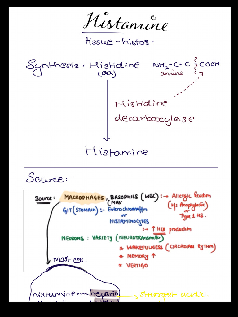 Histamine | PDF