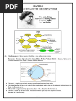 Common Ophthalmic Terminology Glossary | PDF | Eye | Human Eye