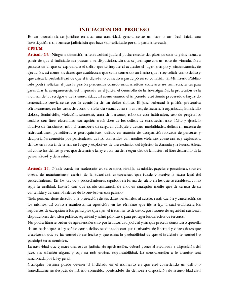 Iniciaci-N Del Proceso | PDF | Queja | Policía