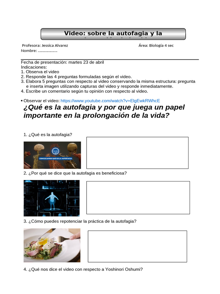 Biologia - Cuestionario Autofagia 4sec | PDF