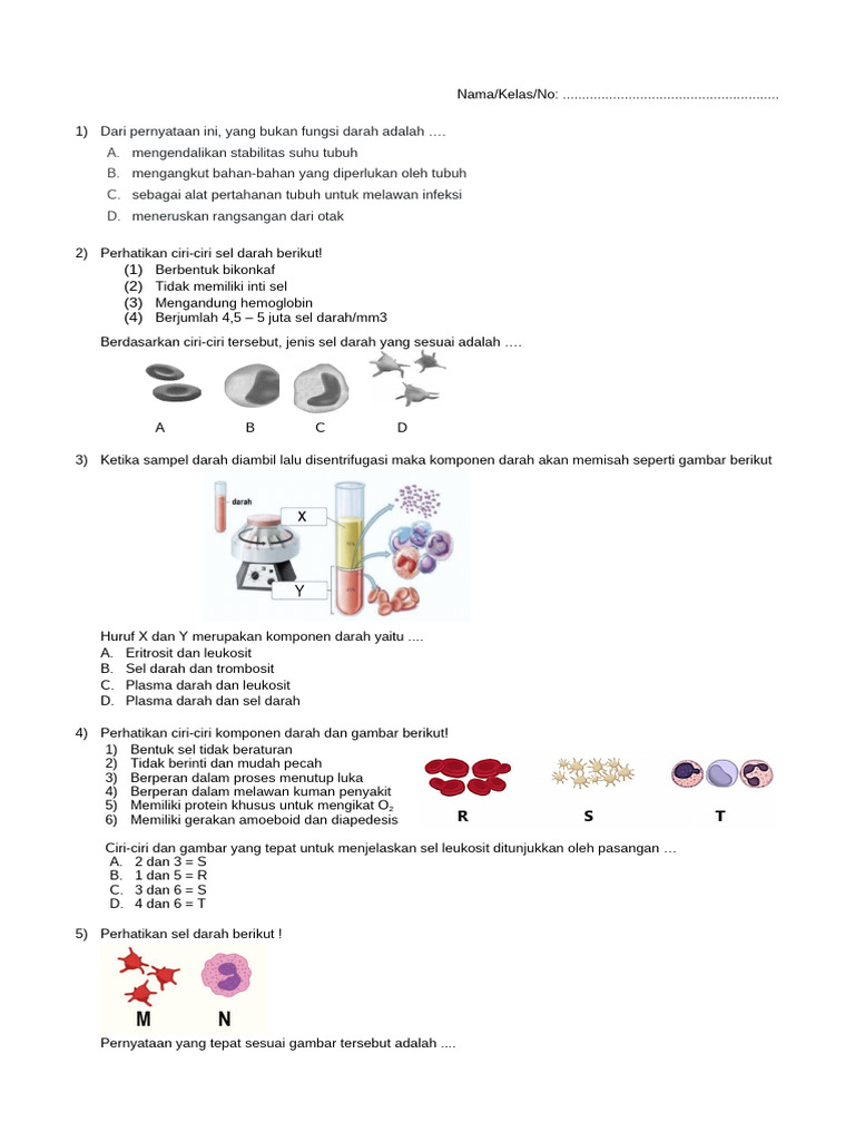 PH Sistem Peredaran Darah | PDF