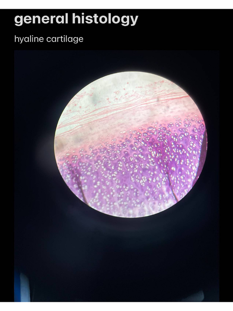 General Histology | PDF