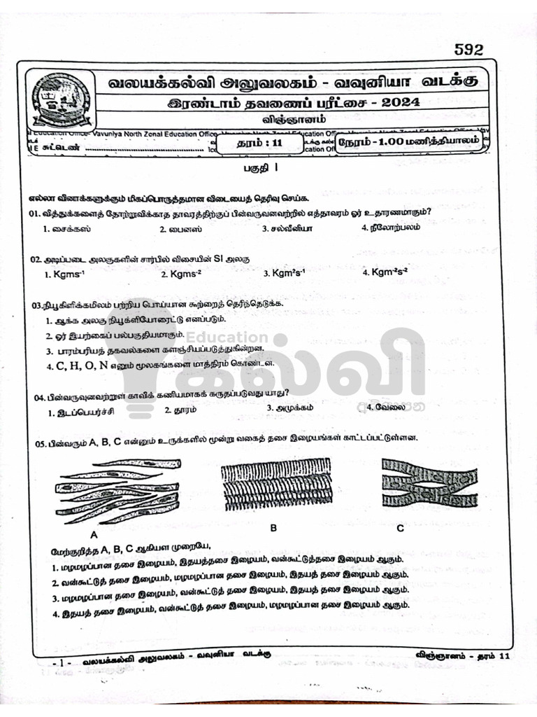 Gr11 Ta Science 2024 Term 2 | PDF