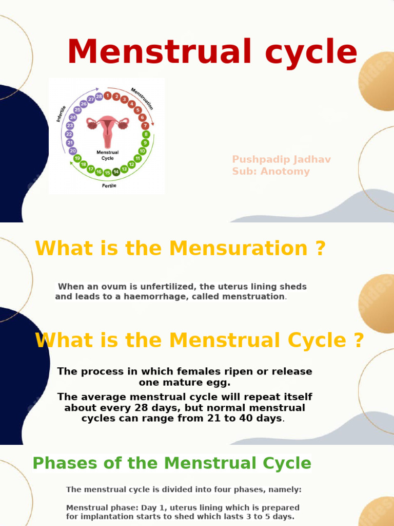 Overview of the Menstrual Cycle | PDF