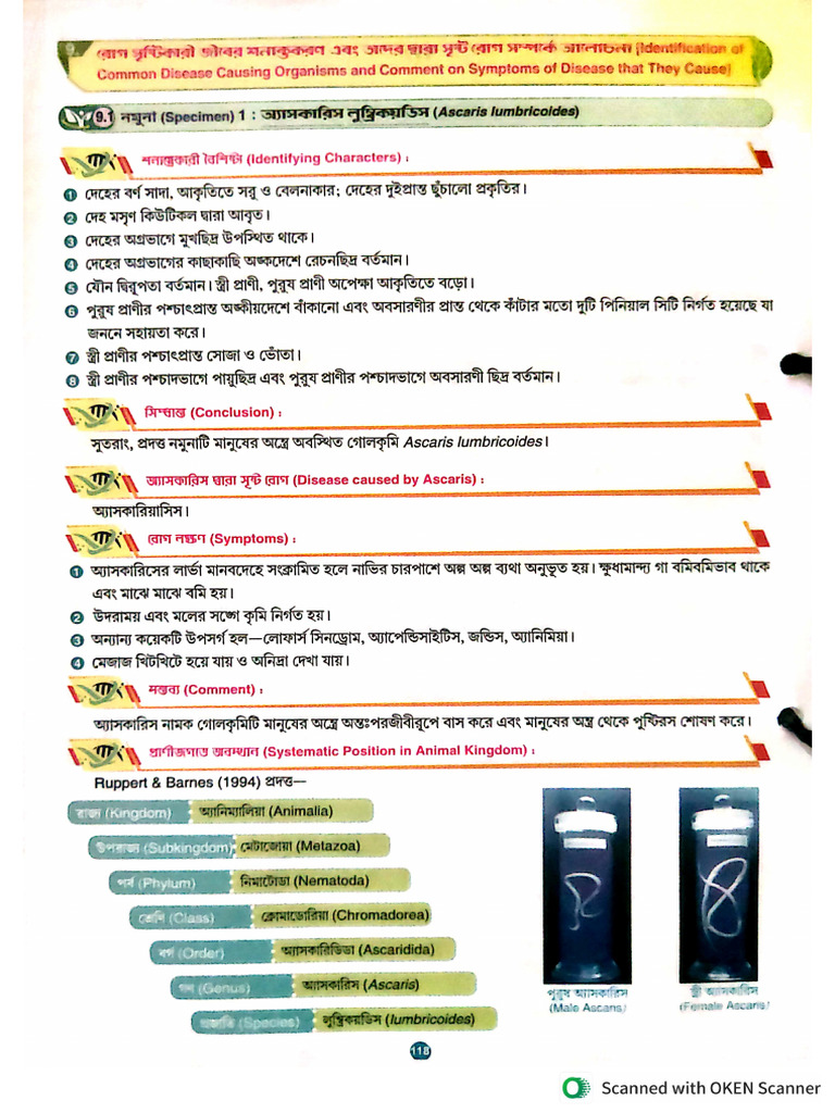 Xii Bio Spotting | PDF