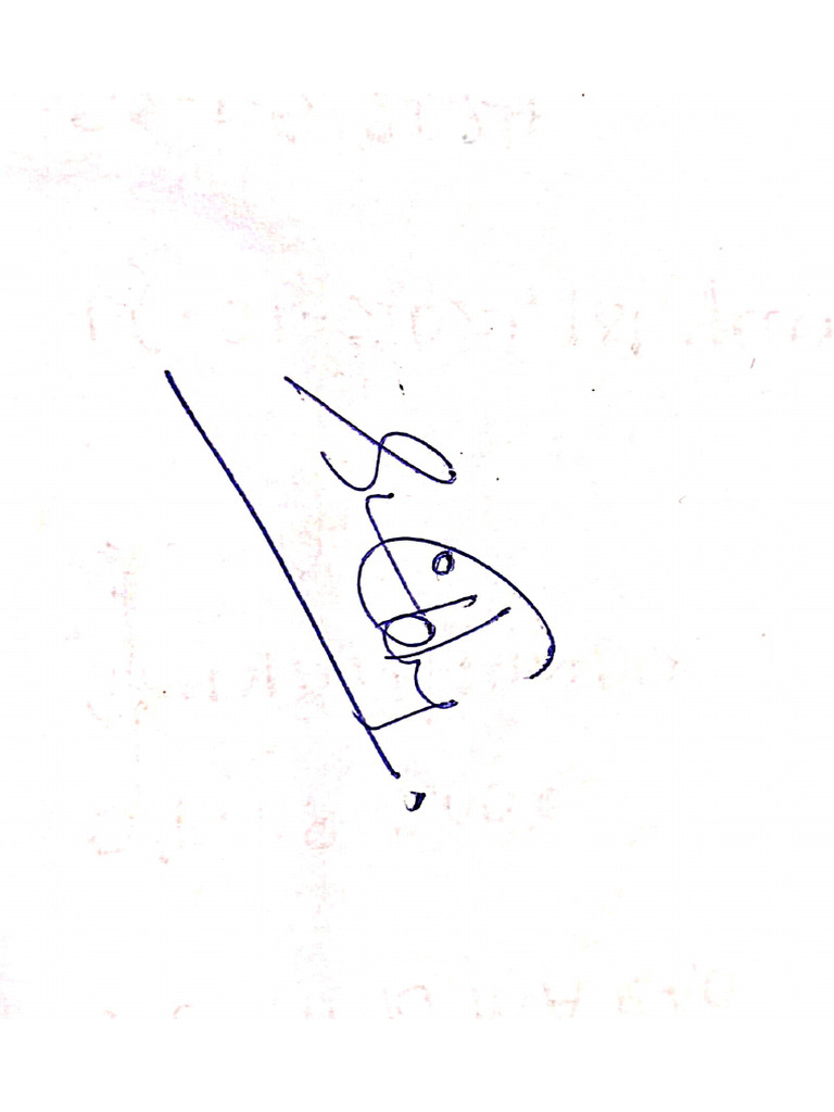 Sunil Signature | PDF