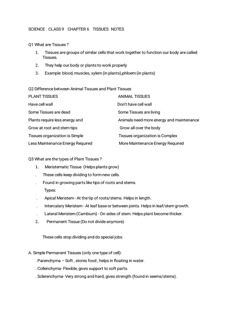 Class 9 Science: Tissues Notes | PDF | Tissue (Biology) | Plant Stem