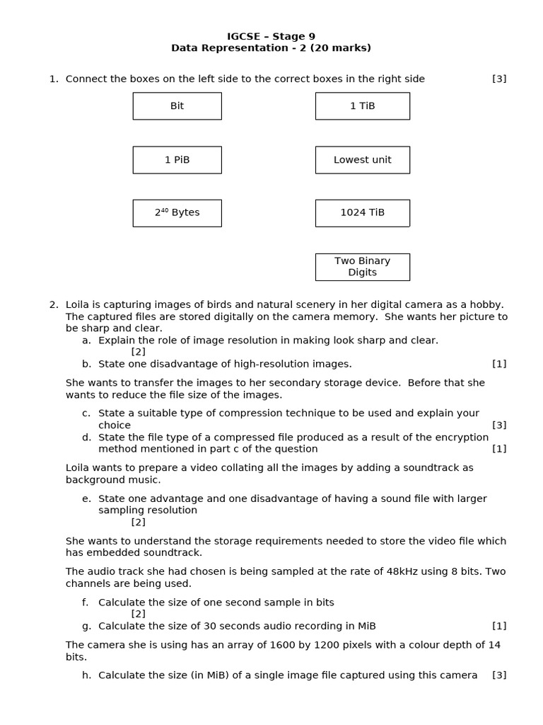 C9 CS Data Representation 1 | PDF | Byte | Bit