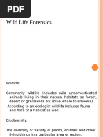 Pugmark Identification | PDF | Tiger | Zoology