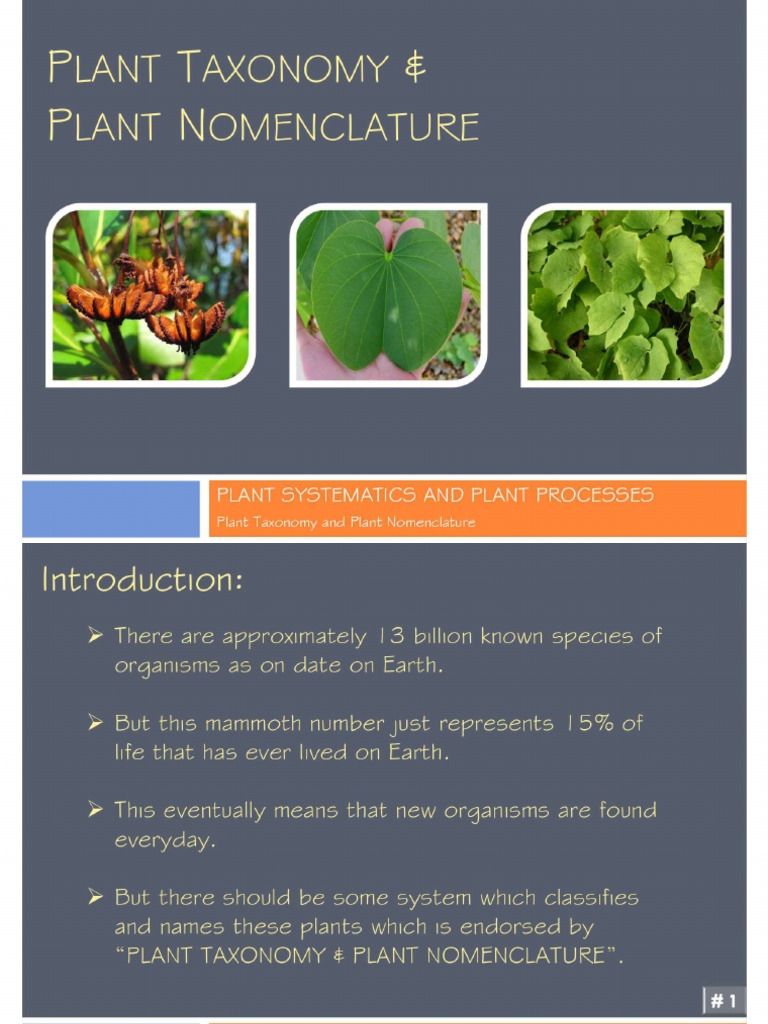 Plant Taxonomy | PDF