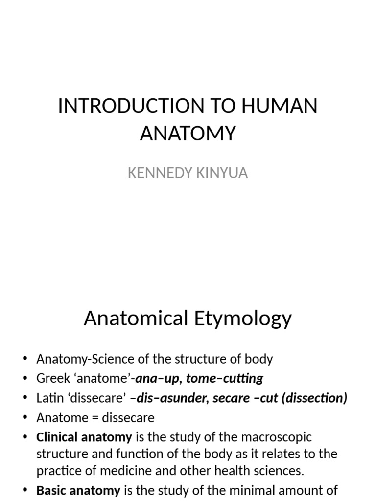 Overview of Human Anatomy Basics | PDF | Endoplasmic Reticulum ...