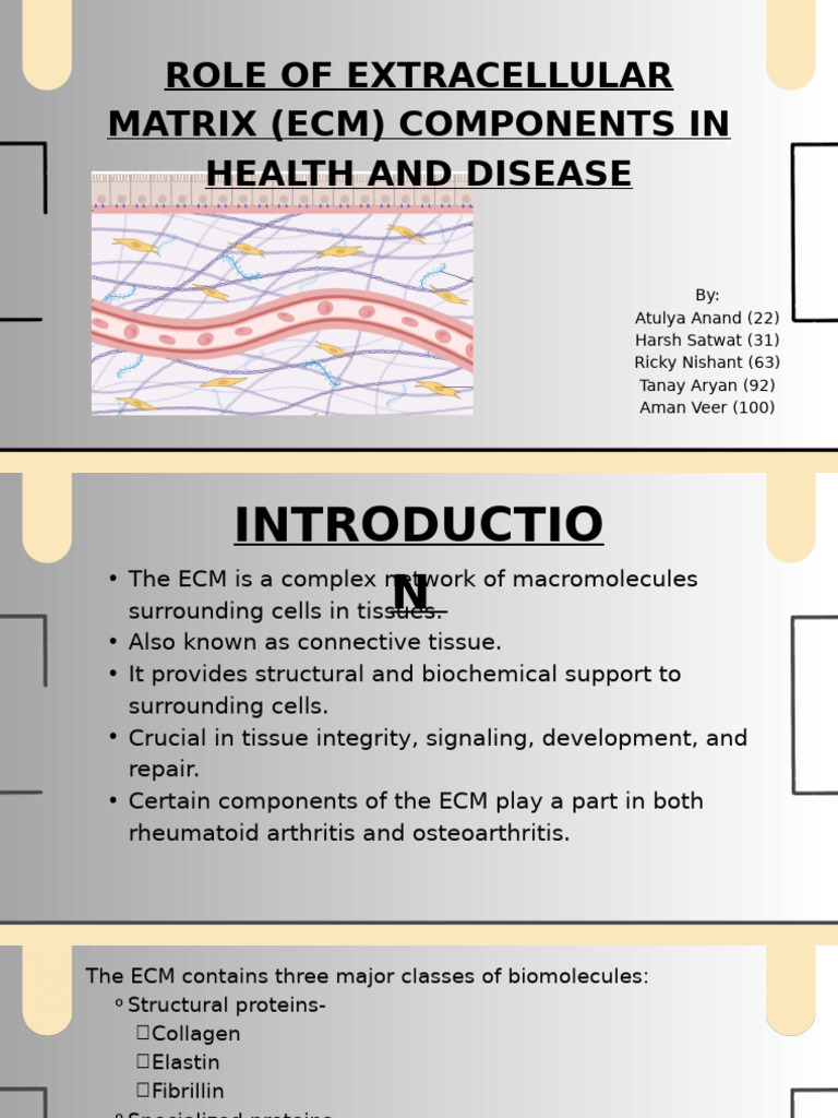 Role of ECM Components in Health and Disease | PDF | Extracellular Matrix | Collagen