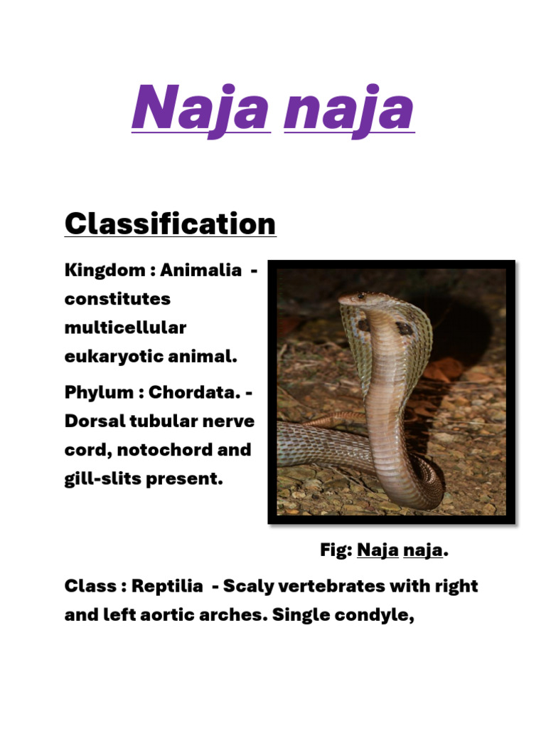 Naja Naja Classification and Characteristics | PDF