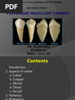 Maxillary and Mandibular Canine Morphology | PDF | Dental Anatomy ...