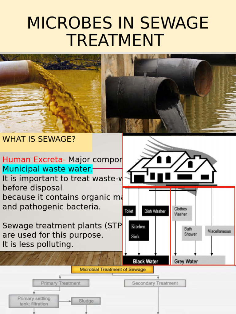 Microbes in Sewage Treatment - 1 | PDF | Sewage Treatment | Anaerobic ...