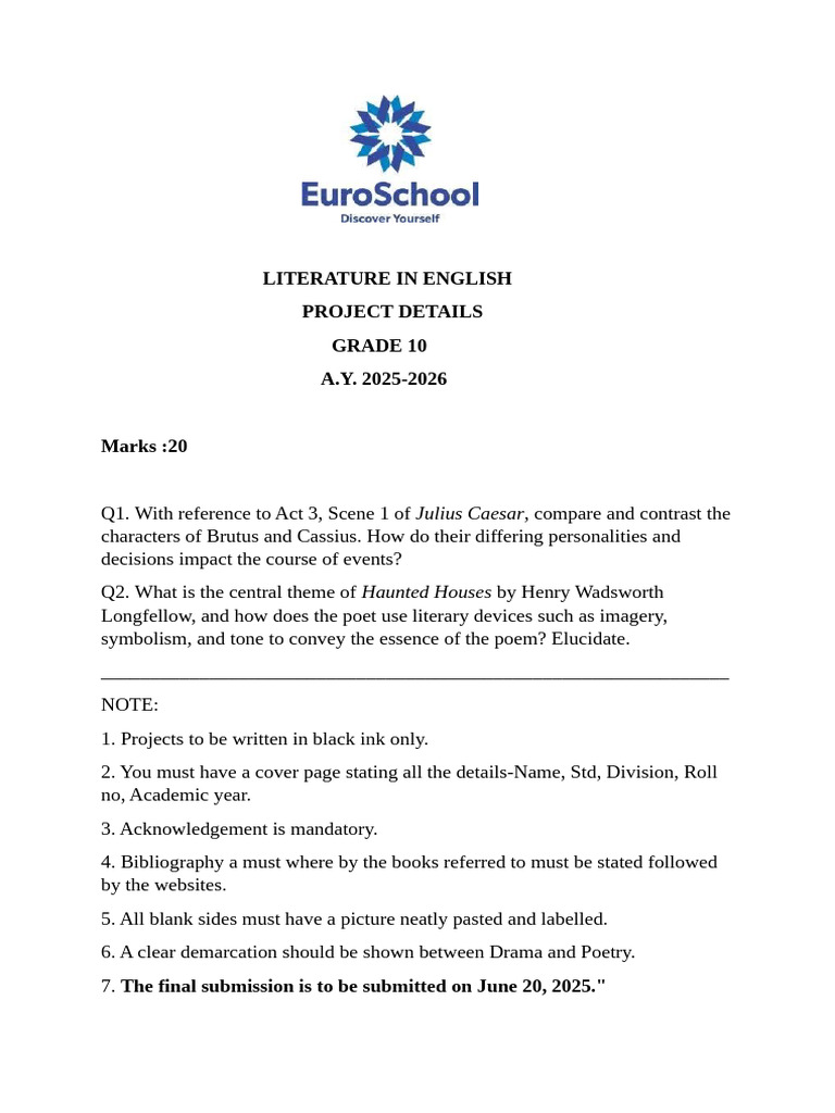 Grade 10 English Literature Project Guide | PDF