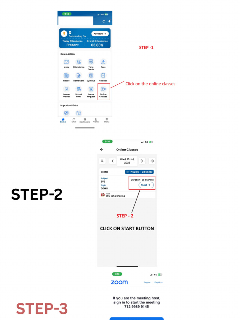 Online Classes Tutorial | PDF