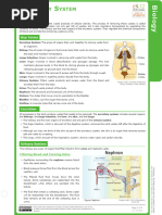 Module Excretory System | PDF | Human Body | Excretion