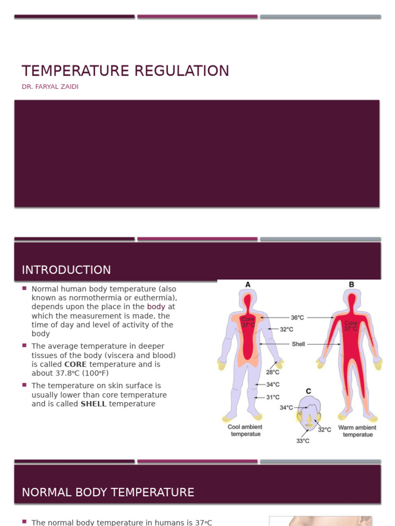 Core vs. Shell Temperature Explained | PDF | Thermoregulation | Fever