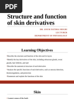 3-D Skin Model Project Guide | PDF | Skin | Anatomy