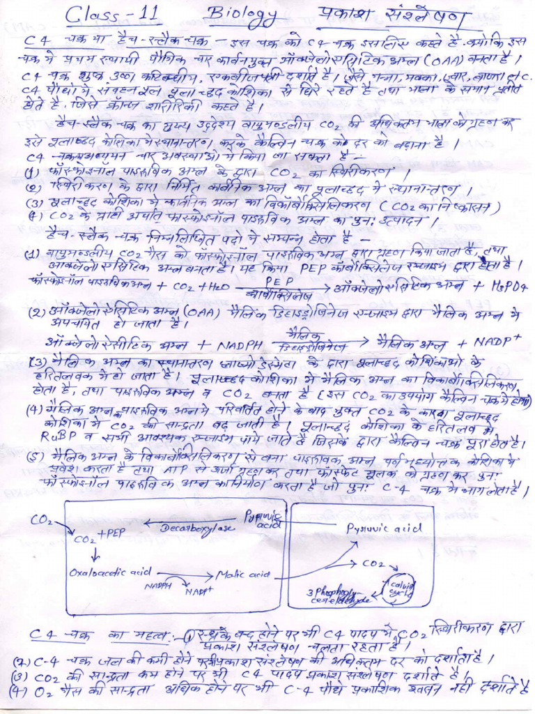 Class-11 Bio For 12th Students | PDF