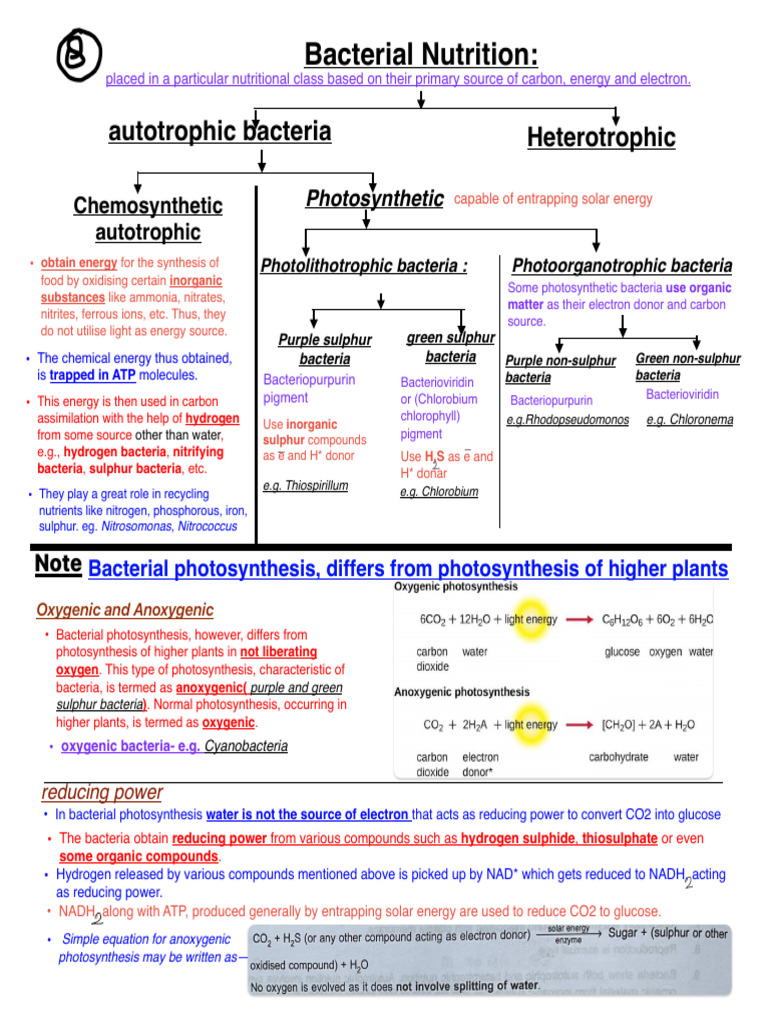 NEET Biological Classification-5-Bacterial Nutrition Autotroph | PDF ...