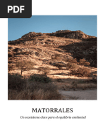 Matorrales: Desafíos y Conservación | PDF | México | Agricultura