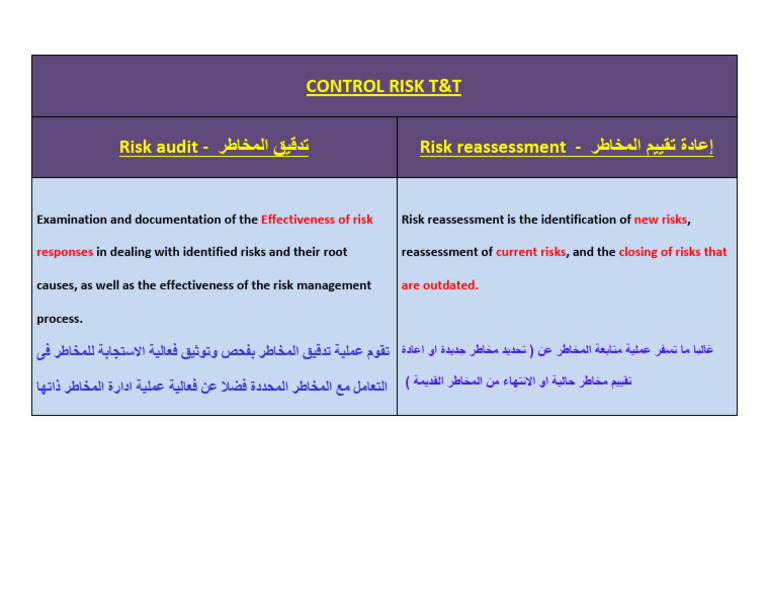 Risk Audit & Risk Reassessment | PDF
