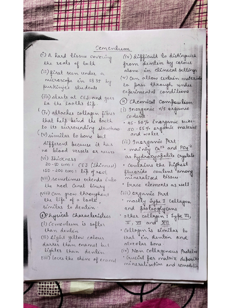 Cementum | PDF