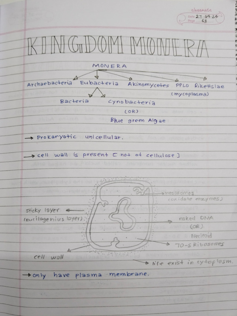 XI Kingdom Monera | PDF