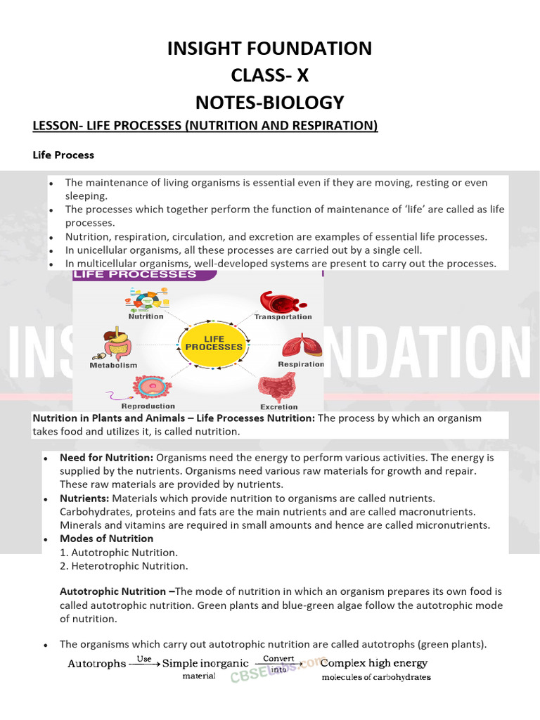 Nutrition and Respiration Overview | PDF | Digestion | Cellular Respiration