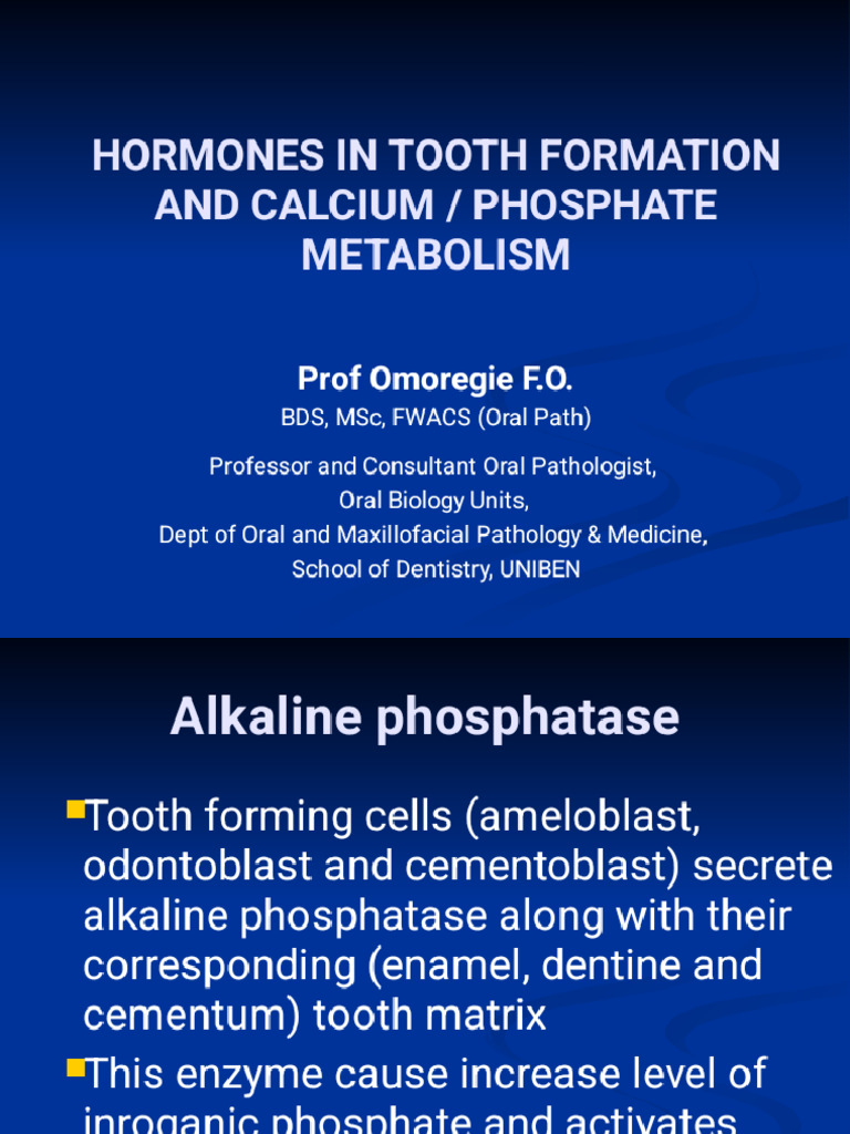 Hormones Involved in The Formation of Teeth and Jaws - Phoenix | PDF