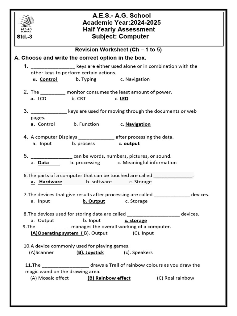 Revision Worksheet STD 3 | PDF | Computer Hardware | Computing